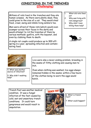 Life in the trenches | Teaching Resources