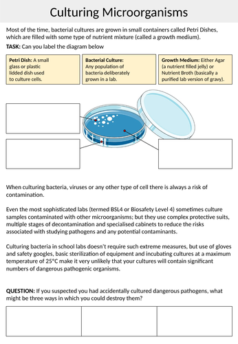 Culturing Microorganisms Theory Full Lesson (slides and worksheets ...