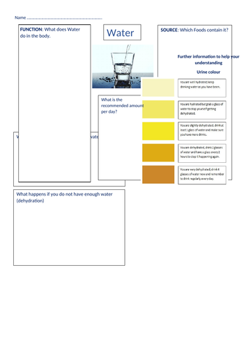 Water - why is it needed in the body? | Teaching Resources