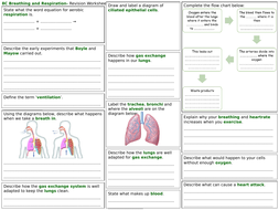 Exploring Science 8C Revision Worksheet- Breathing and Respiration ...