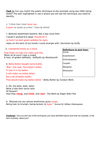 Year 9 Poetry Mirror Sylvia Plath | Teaching Resources