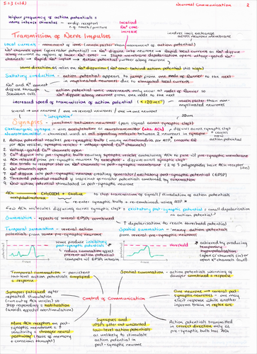 OCR A Level Biology Neuronal Communication Revision Poster | Teaching ...