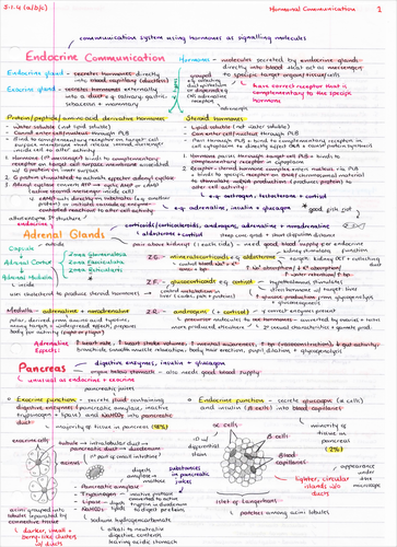 OCR A Level Biology Hormonal Communication Revision Poster | Teaching ...