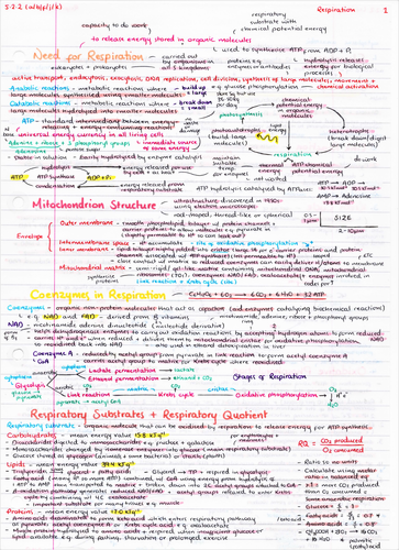 OCR A Level Biology Respiration Revision Poster | Teaching Resources