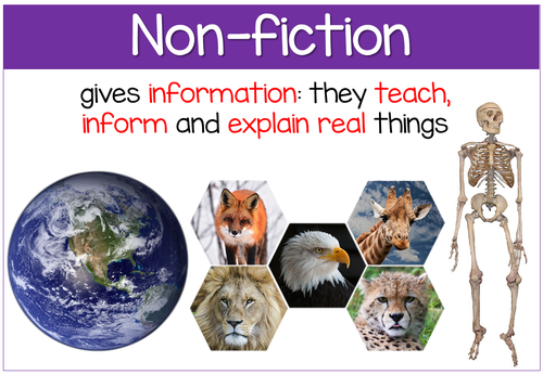 Features in Non-Fiction: 16 Piece Poster Set | Teaching Resources