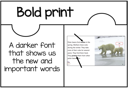 Non-fiction features jigsaw puzzle - Literacy KS1 and KS2 Information ...