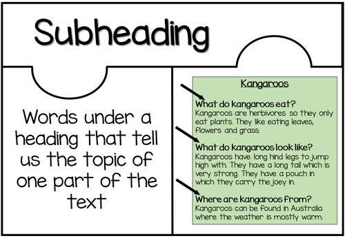 Non-fiction features jigsaw puzzle - Literacy KS1 and KS2 Information ...