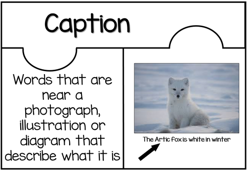 Non-fiction features jigsaw puzzle - Literacy KS1 and KS2 Information ...