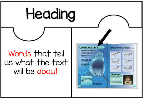 Non-fiction features jigsaw puzzle - Literacy KS1 and KS2 Information ...