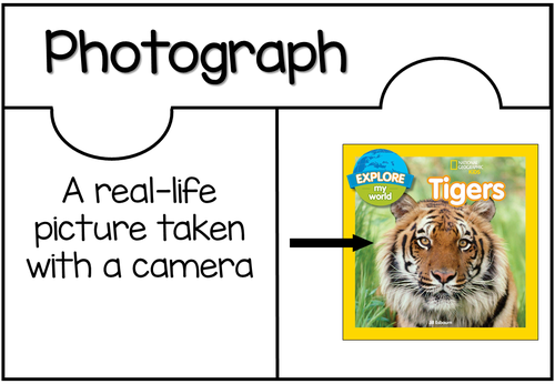 Non-fiction features jigsaw puzzle - Literacy KS1 and KS2 Information ...