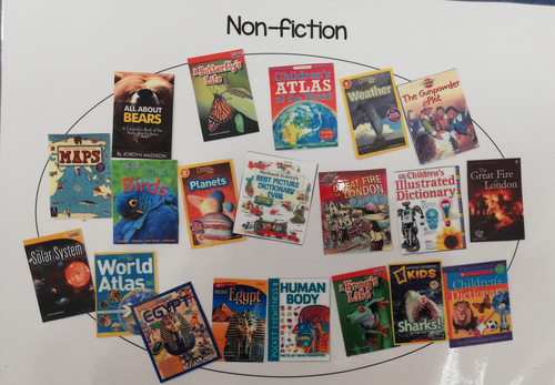 KS1 Literacy: Fun Fiction and Non-fiction activity - sorting books into ...