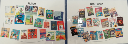 KS1 Literacy: Fun Fiction and Non-fiction activity - sorting books into ...