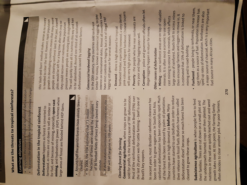 Tropical Rainforest threats escape room | Teaching Resources