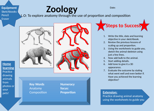 Unit of work on Zoology in Art & Design | Teaching Resources