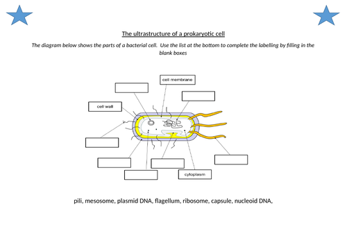 Genetic technology (CIE International A-level Biology) | Teaching Resources
