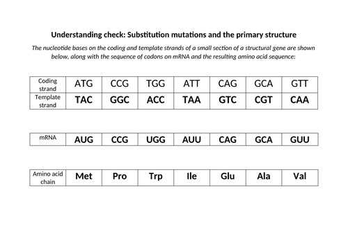 Gene mutations and protein structure (AQA A-level Biology) | Teaching ...