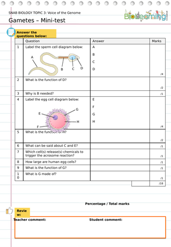 Gametes - Mini-test (KS5) | Teaching Resources