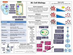 AQA Combined Science Biology Paper 1 Mind Maps | Teaching Resources