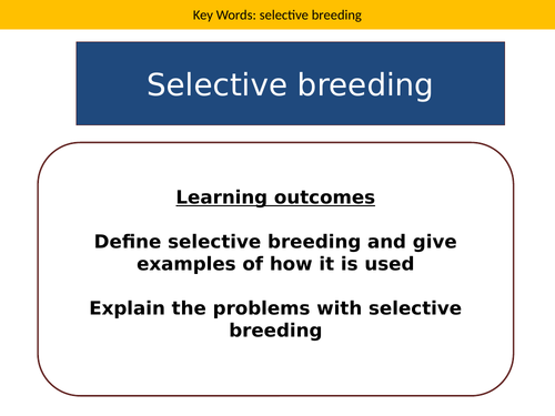 Selective breeding lesson | Teaching Resources