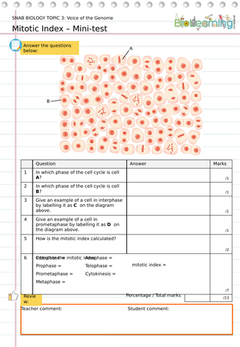 Mitotic Index - Mini-test (KS5) | Teaching Resources