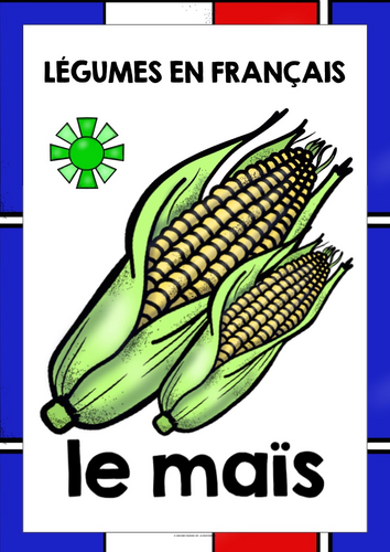 FRENCH VEGETABLES FLASHCARDS POSTERS | Teaching Resources