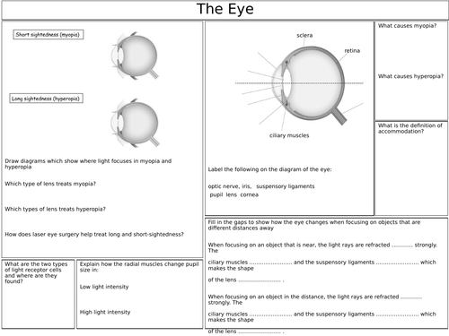 The Eye Revision Sheet | Teaching Resources
