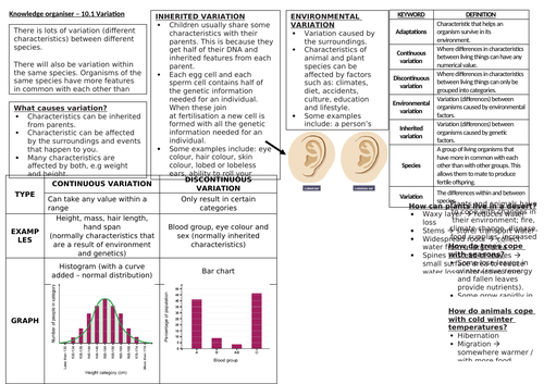 KS3 Knowledge Organisers | Teaching Resources