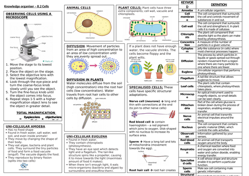 KS3 Knowledge Organisers | Teaching Resources