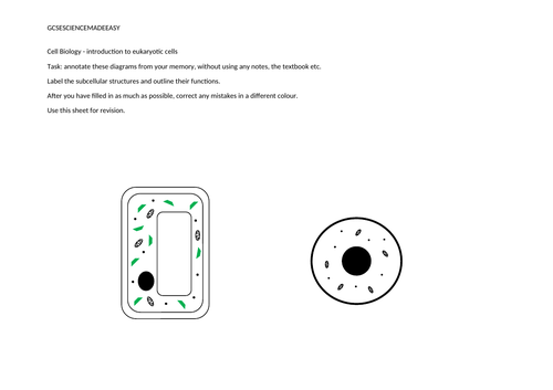 EUKARYOTIC AND PROKARYOTIC CELLS POWERPOINTS (GCSE AQA BIOLOGY ...
