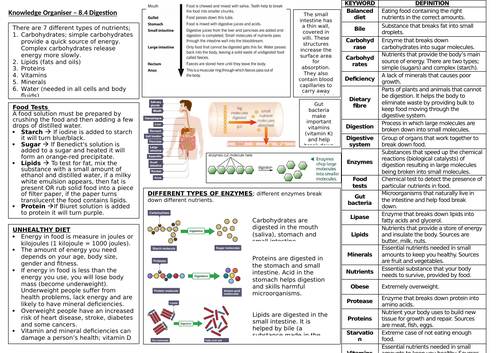 KS3 Knowledge Organisers | Teaching Resources