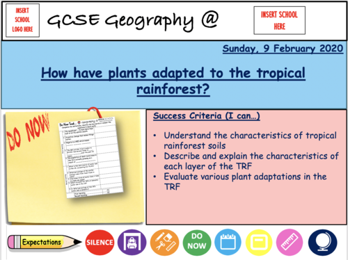 Tropical rainforest plant adaptations lesson and worksheets | Teaching ...