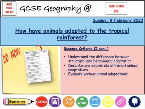 Tropical rainforest animal adaptations lesson & worksheet | Teaching ...