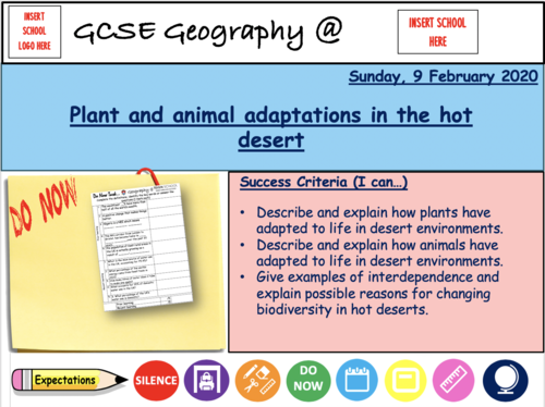 Hot desert plant and animal adaptations lesson and worksheets ...