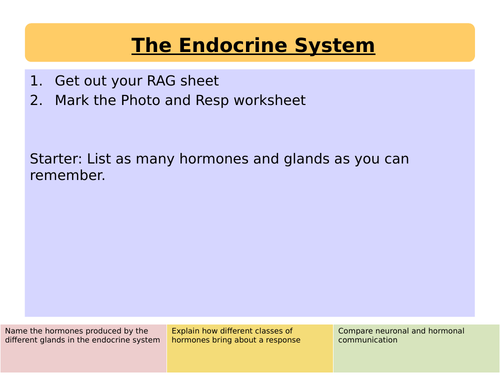Module 5 Hormonal Communication | Teaching Resources