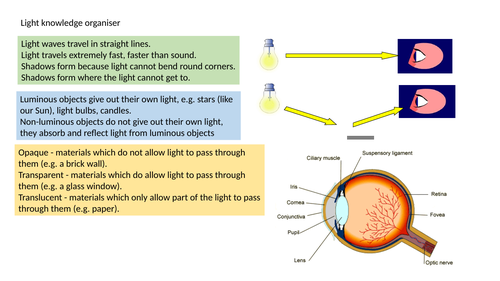 KS3 Light topic knowledge organiser | Teaching Resources