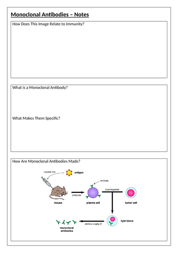 A Level Biology Immunity Resources | Teaching Resources