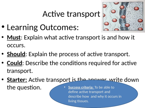 AQA AS Biology Section 2_Transport across cell membrane | Teaching ...