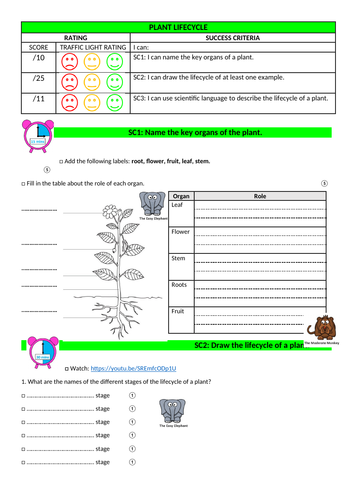 Plant Life Cycle | Teaching Resources