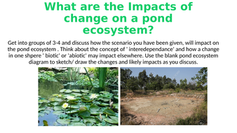 Ecosystem changes in a pond | Teaching Resources