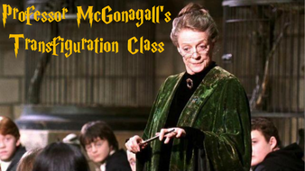 Harry Potter Transfiguration Class | Teaching Resources