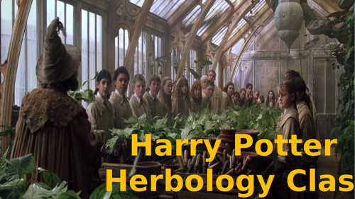 Harry Potter Herbology Class - Yeast | Teaching Resources