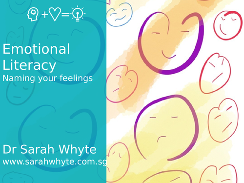 FREE Emotional literacy lesson plan, resources and printables ...