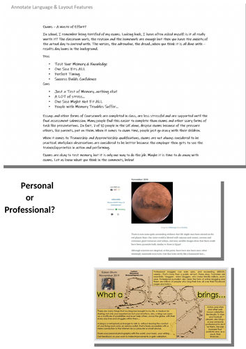 New Functional Skills English - Blog Writing | Teaching Resources