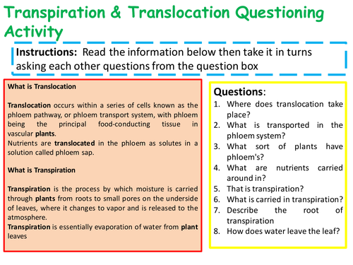 A Level Biology Transport Systems in Plants Lesson & Activities ...