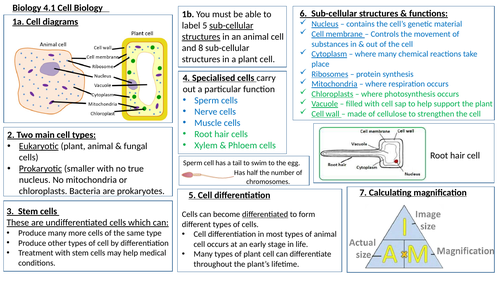 AQA KS4 Unit B4.1 Cell Biology Knowledge Organiser/ Revision Mat ...