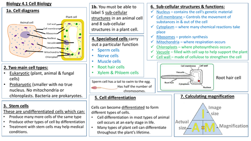 AQA KS4 Unit B4.1 Cell Biology Knowledge Organiser/ Revision Mat ...