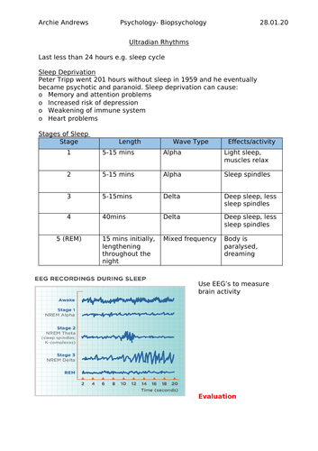 AQA A-level Psychology Biopsychology Revision Notes | Teaching Resources