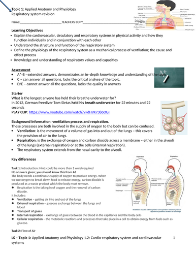 A-level PE Edexcel (spec 2016) Respiratory System Revision Lesson ...