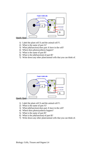 AQA KS3 Cells and Movement (skeleton, muscles, all types of cell ...