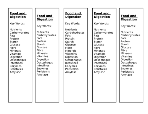 AQA KS3 Digestion COMPLETE LESSONS | Teaching Resources